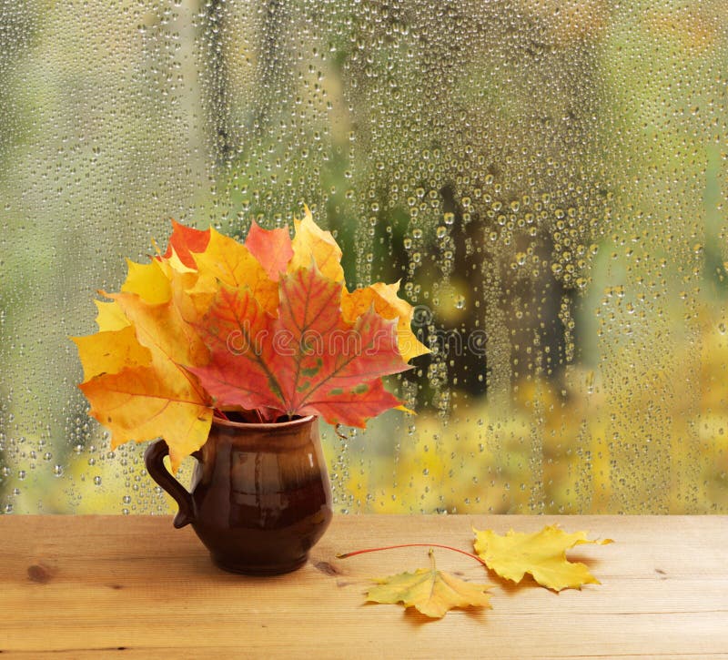 Autumn Leaves on Window Sill Stock Photo - Image of beautiful ...