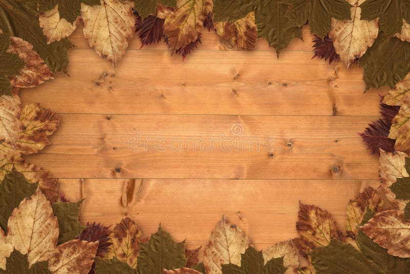 Autumn leaves on wood stock image. Image of nature, autumnal - 255327213