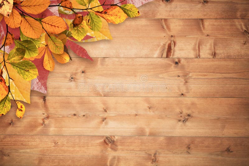 Autumn leaves on wood stock photo. Image of orange, autumn - 255573660