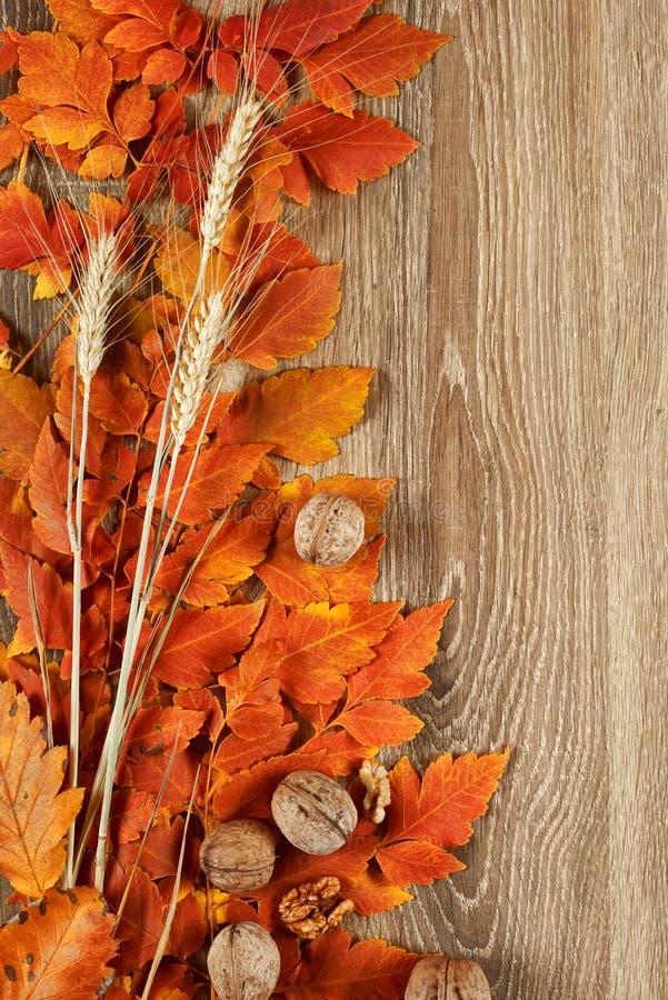 Autumn Leaves on Wood Background Stock Photo - Image of poplar, foliage ...