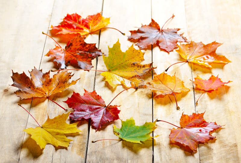 Autumn leaves on wood stock image. Image of brown, colorful - 39135877