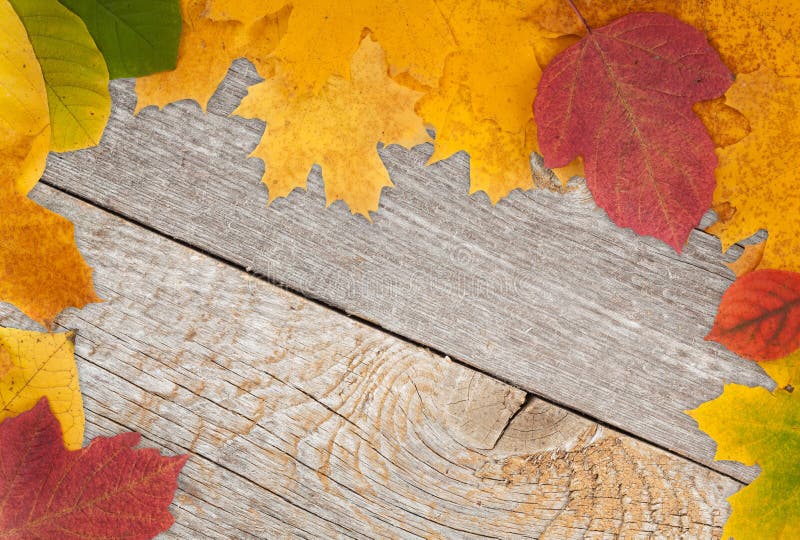 Autumn leaves on wood stock image. Image of nature, board - 34140649