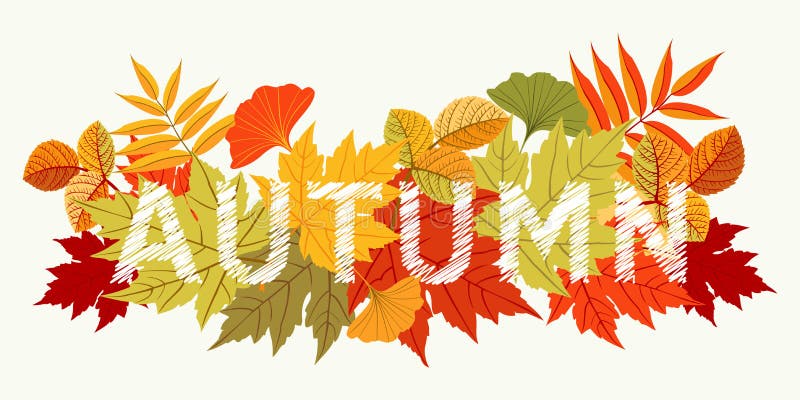 Autumn Lettering and Fall Colored Foliage. Stock Vector - Illustration ...