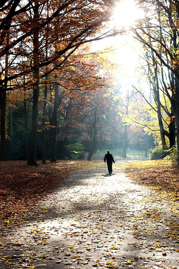 Autumn of Life, Walking Senior Man Stock Image - Image of path ...
