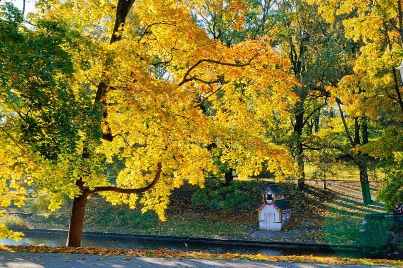 Autumn light stock image. Image of seasonal, autumn, detail - 78793909