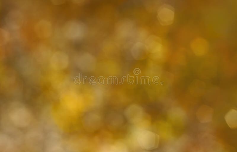 Autumn light stock image. Image of colorful, ecology - 75506741