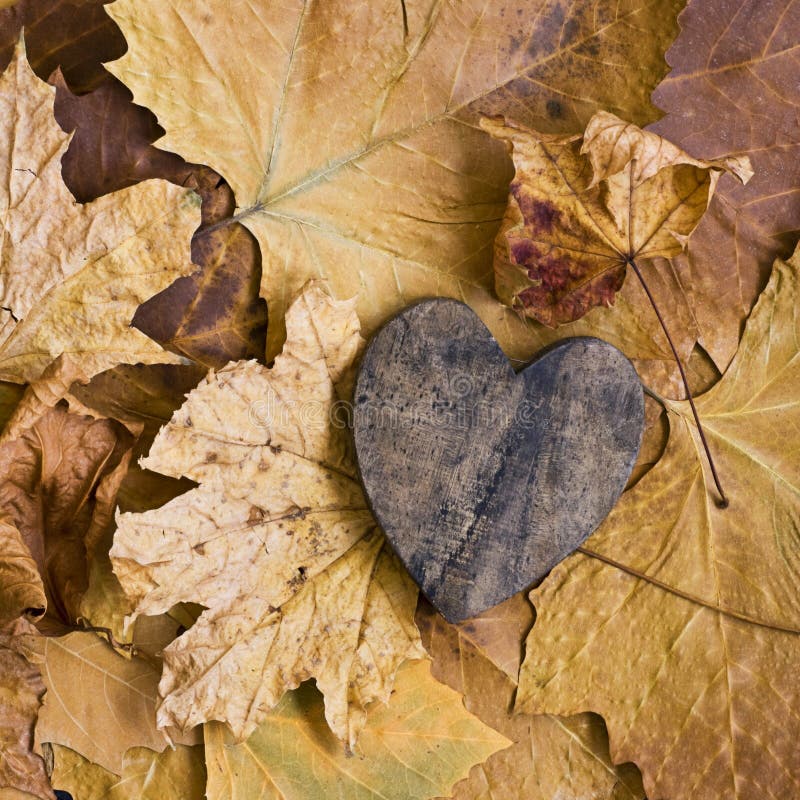 983 Heart Shaped Fall Leaf Stock Photos - Free & Royalty-Free Stock ...
