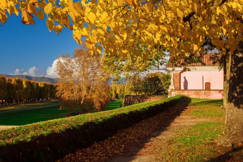 Autumn in Lucca stock image. Image of sycamore, public - 333936607
