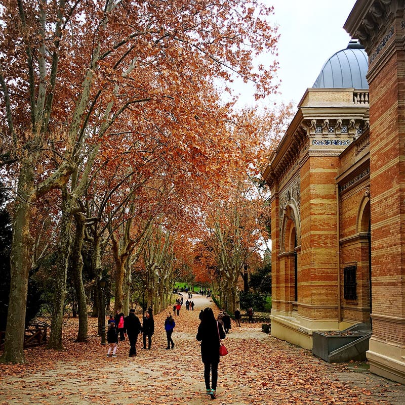 Autumn in Madrid stock photo. Image of park, autumn, spain - 64589530