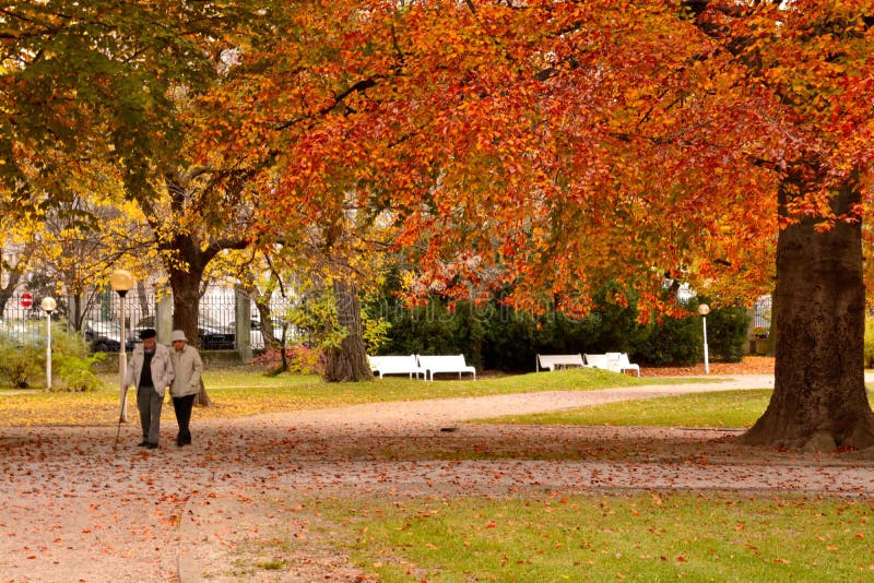 The Magic of Autumn in Bucharest on Tram Line 1 Editorial Image - Image ...