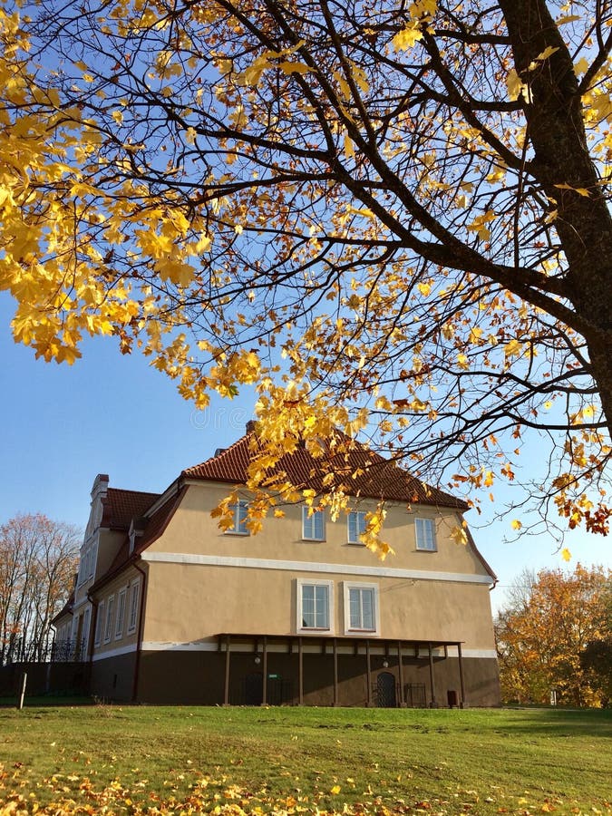 Autumn stock image. Image of manor, outside, leaves - 128932871