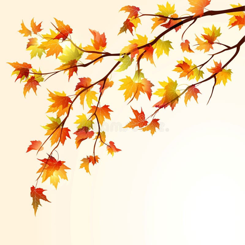 Autumn tree branch stock vector. Illustration of design - 20815664