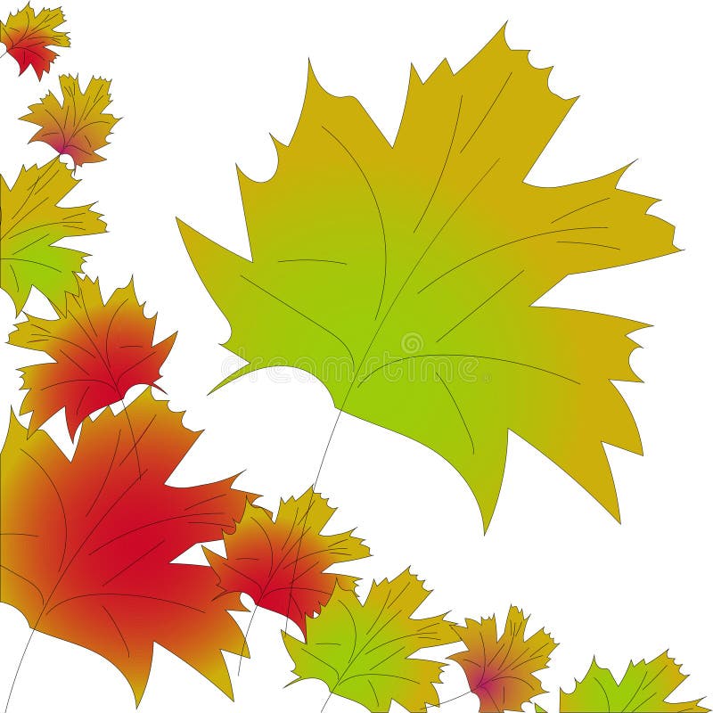 Autumn Maple Foliage. Red Yellow Gradient. Falling Leaf Vector ...