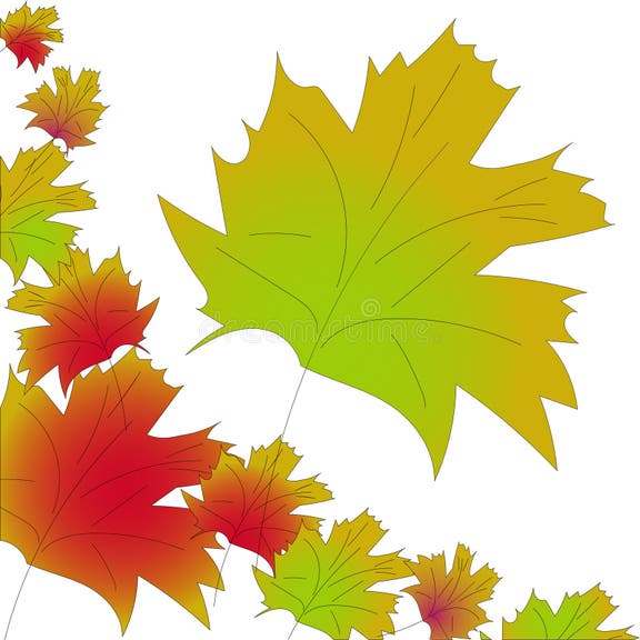 Autumn Maple Foliage. Red Yellow Gradient. Falling Leaf Vector ...