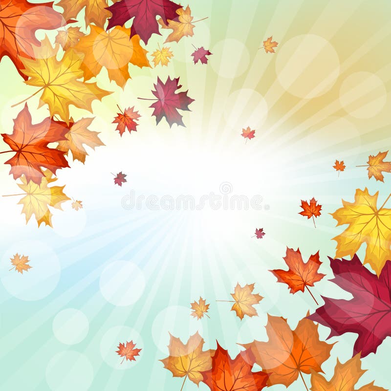 Autumn Maple Frame stock vector. Illustration of maple - 259638440