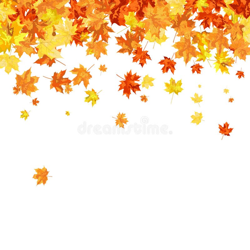 Autumn Maple Frame stock vector. Illustration of color - 257711295