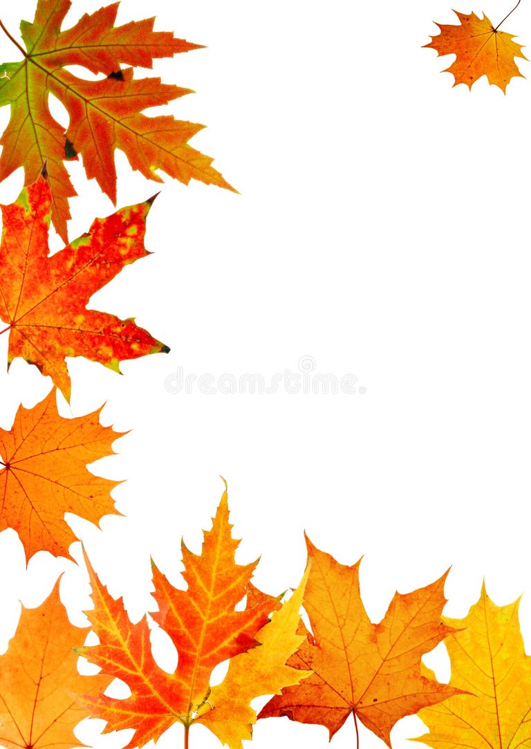 Canadian Maple Leaf Border Stock Illustrations – 1,573 Canadian Maple ...