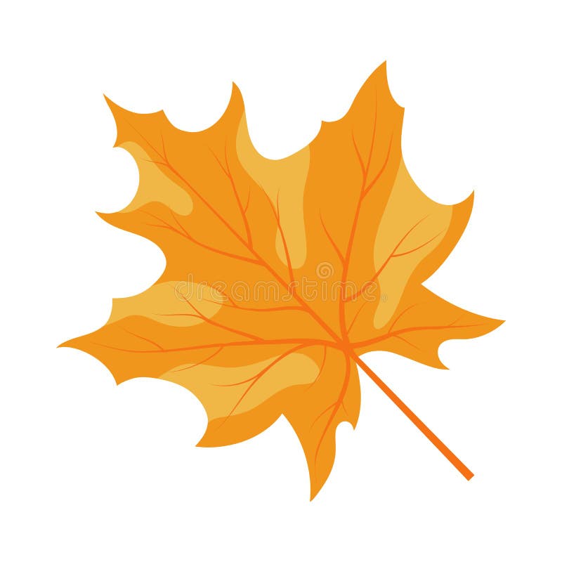 Autumn Maple Leaf stock vector. Illustration of color - 151665955