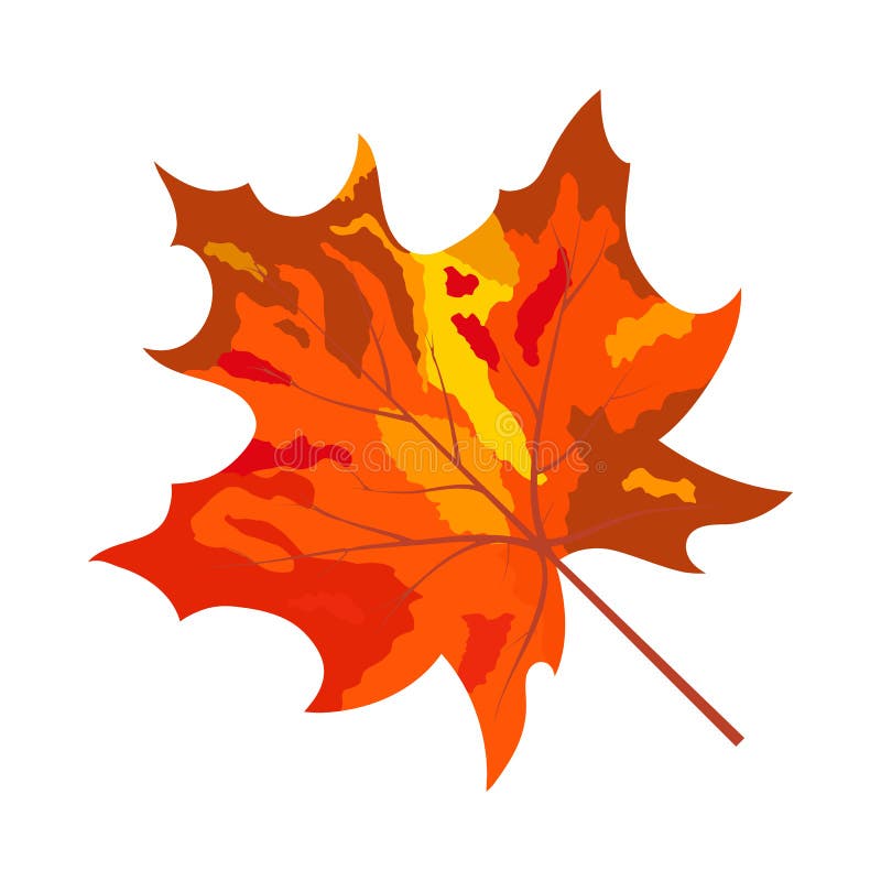 Autumn Maple Leaf stock vector. Illustration of flora - 151665979