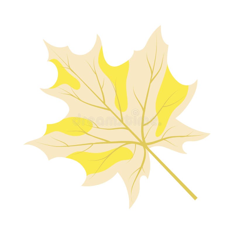 Autumn Maple Leaf stock vector. Illustration of gold - 151666002