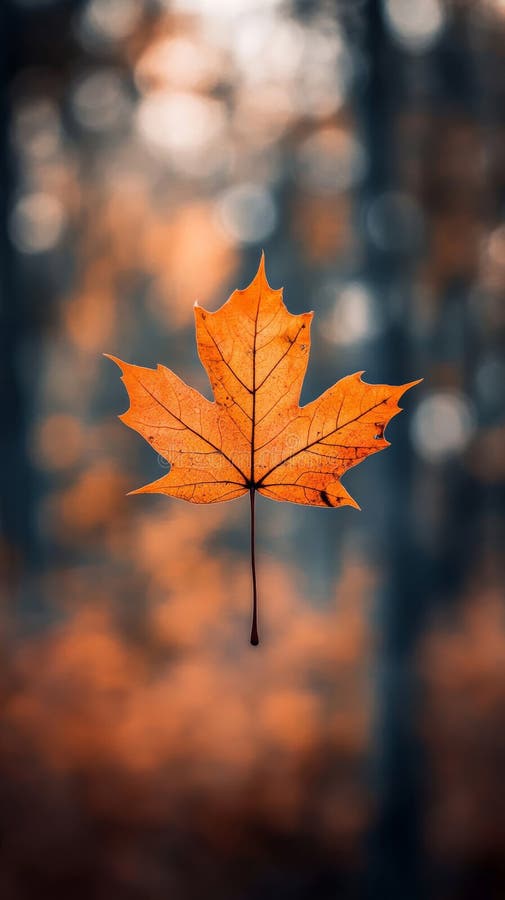 Single Maple Leaf Autumnal Forest Blurred Background Ai Generated Stock ...