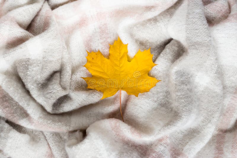 Autumn Maple Leaf on Crumpled Gray Wool Blanket. Soft and Warm Fabric ...