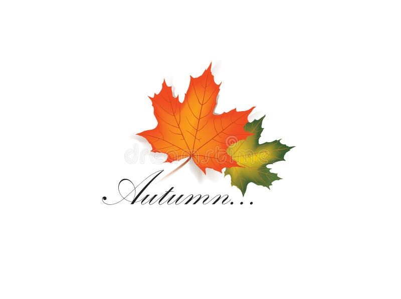 Autumn Maple Leaf Frame with Lettering and Copy Space on White ...