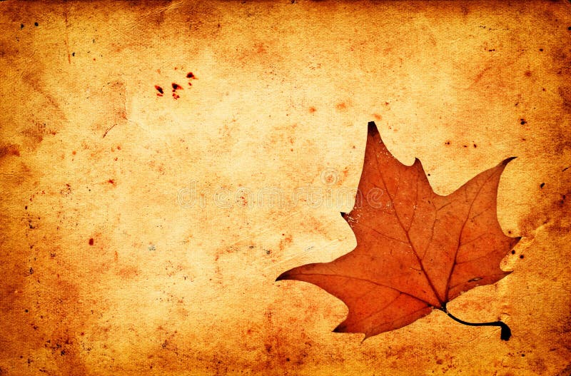 Autumn Maple Leaf on Grunge Old Paper Stock Image - Image of page ...