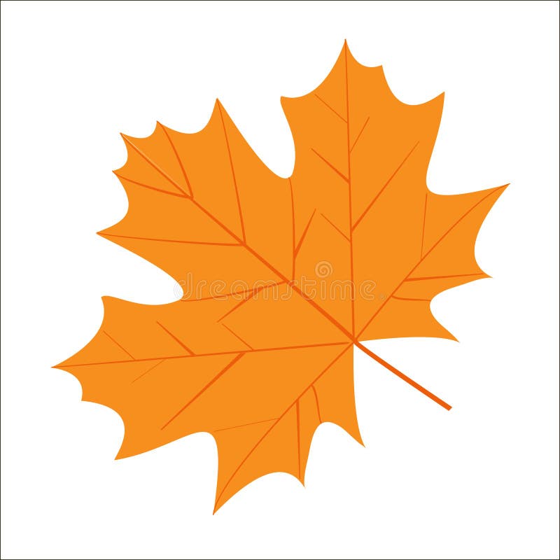 Maple leave stock illustration. Illustration of acid - 43317370