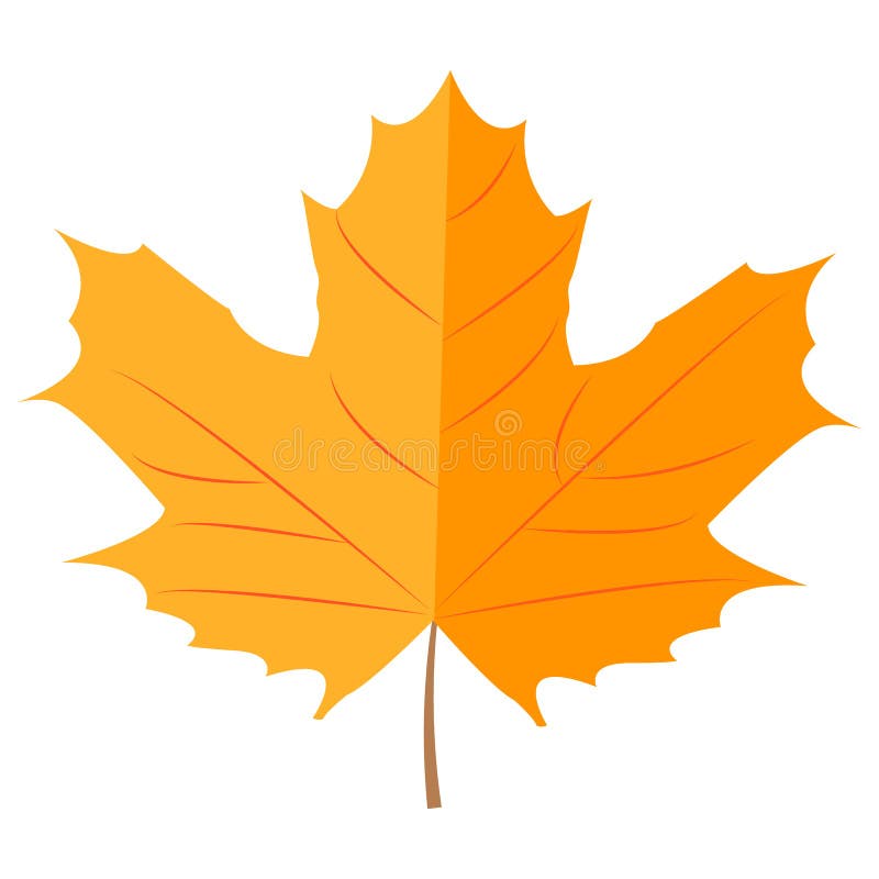 Autumn maple leaf stock vector. Illustration of flat - 120758040