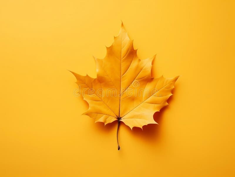 An Autumn Maple Leaf. Minimal Autumn Theme Concept. Generative AI Stock ...
