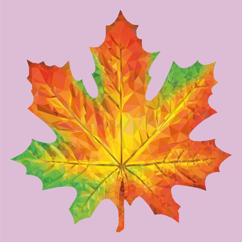 Autumn Maple Leaf stock vector. Illustration of fall - 84438378