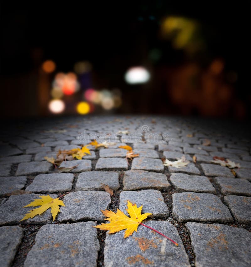 Autumn Maple Leaf on Street at Night Stock Image - Image of yellow ...
