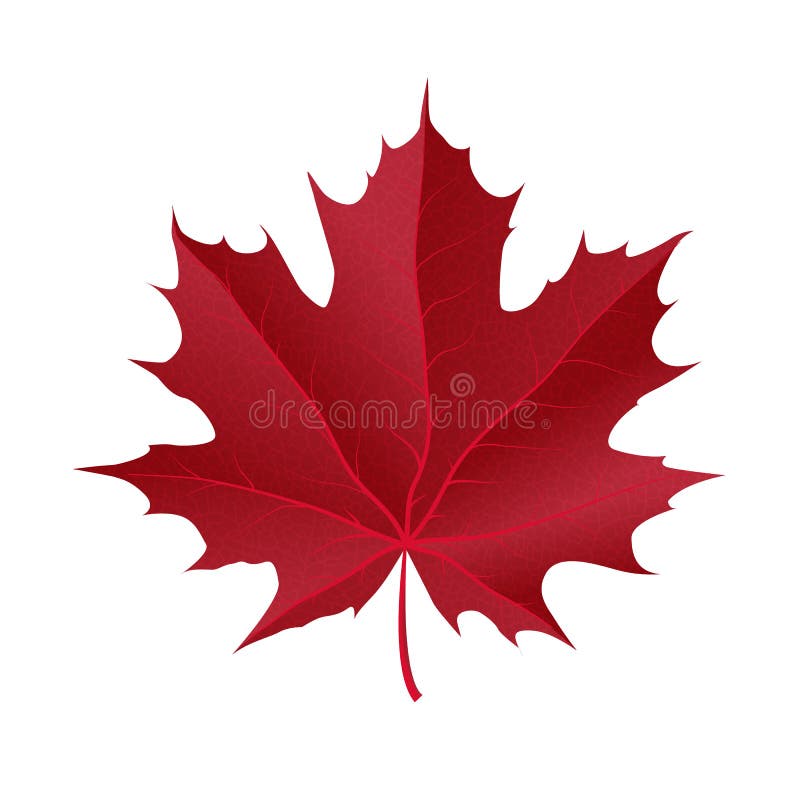 Autumn Maple Leaf Stock Illustrations – 82,060 Autumn Maple Leaf Stock ...