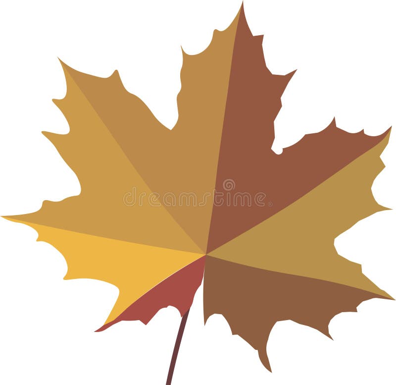 Branch maple stock image. Image of nature, tree, maple - 11610747