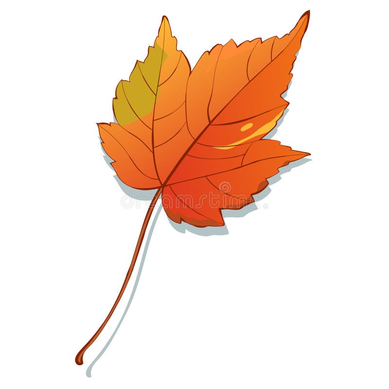 Maple Leafe Vector Stock Illustrations – 25 Maple Leafe Vector Stock ...