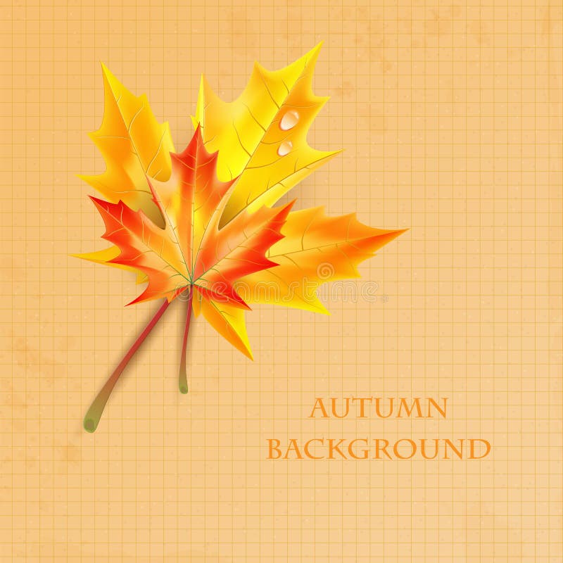 Autumn Maple Leaves on a Background of Notebook Sheet Stock Vector ...