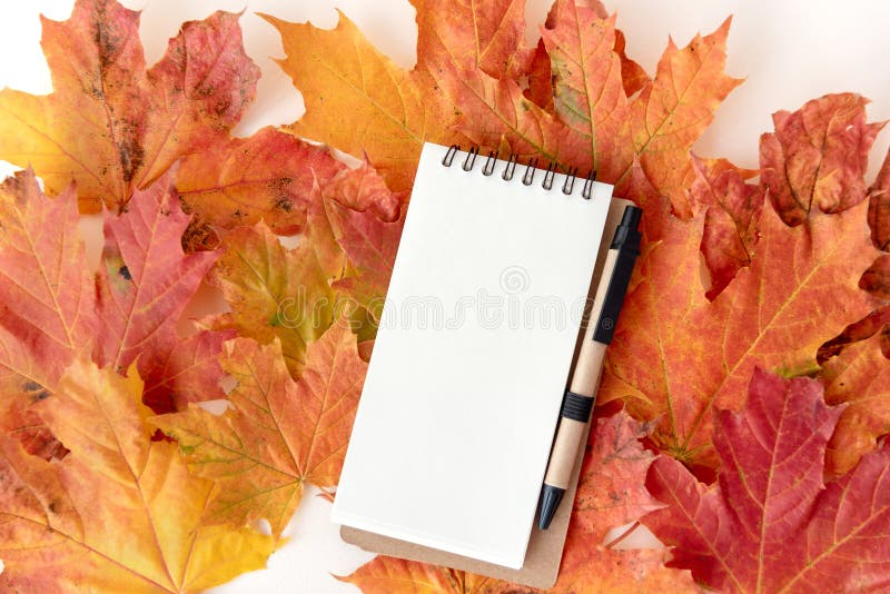 Autumn Maple Leaves and Blank Notebook with Pen Stock Image - Image of ...