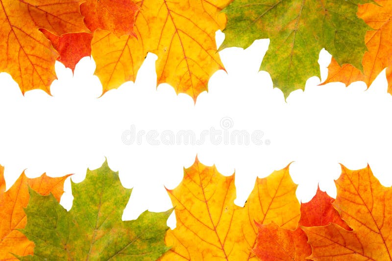 Autumn maple leaves frame stock image. Image of nature - 34589519