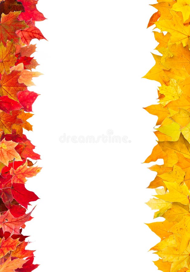 Autumn maple leaves frame stock illustration. Illustration of close ...