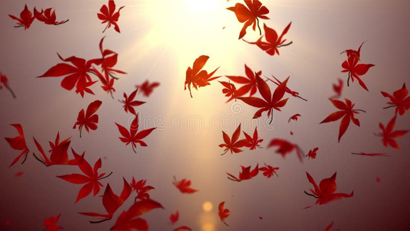 Autumn Maple Leaves Particle Loop Animation Stock Video - Video of ...
