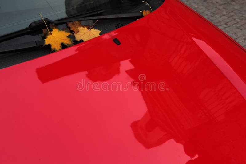 Autumn Maple Leaves on a Red Car. Stock Image - Image of reflection ...