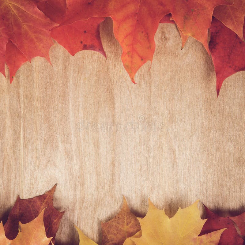 Autumn Maple Leaves On Wood Table Stock Illustration - Illustration of ...