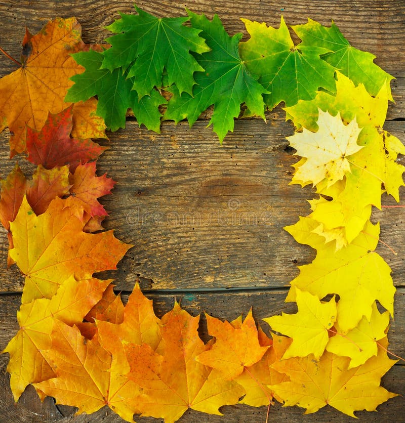 Autumn Maple Leaves on Wooden Background Stock Photo - Image of ...