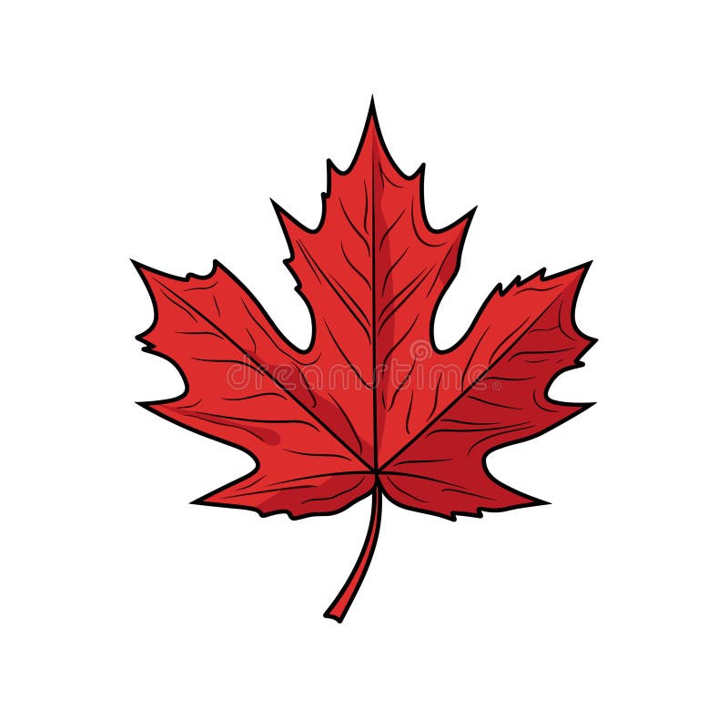 Autumn Maple Red Leaf Isolated, Vector Illustration Stock Vector ...