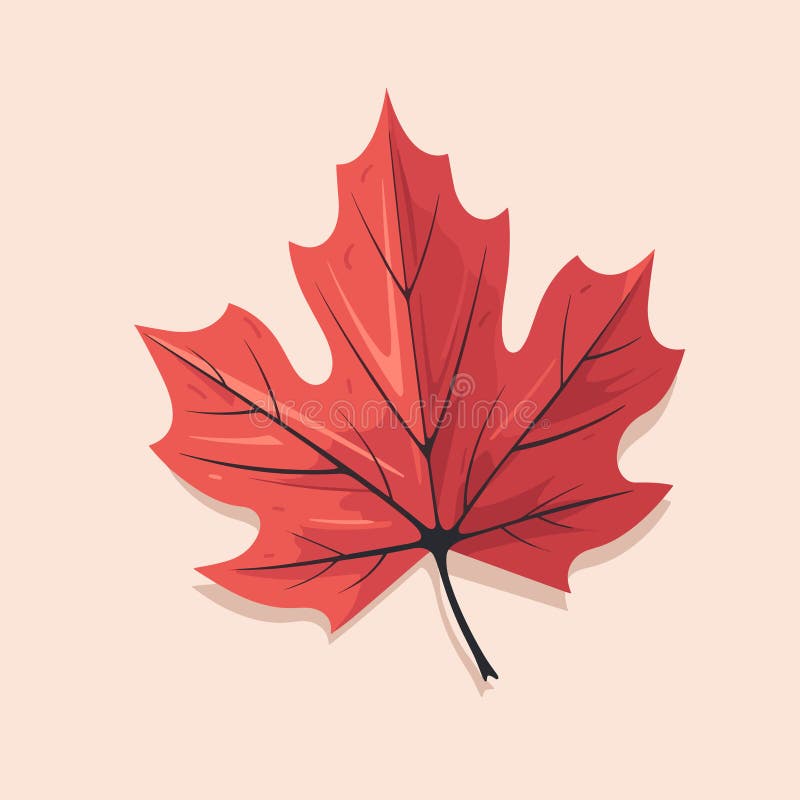 Autumn Maple Red Leaf Isolated, Vector Illustration Stock Vector ...