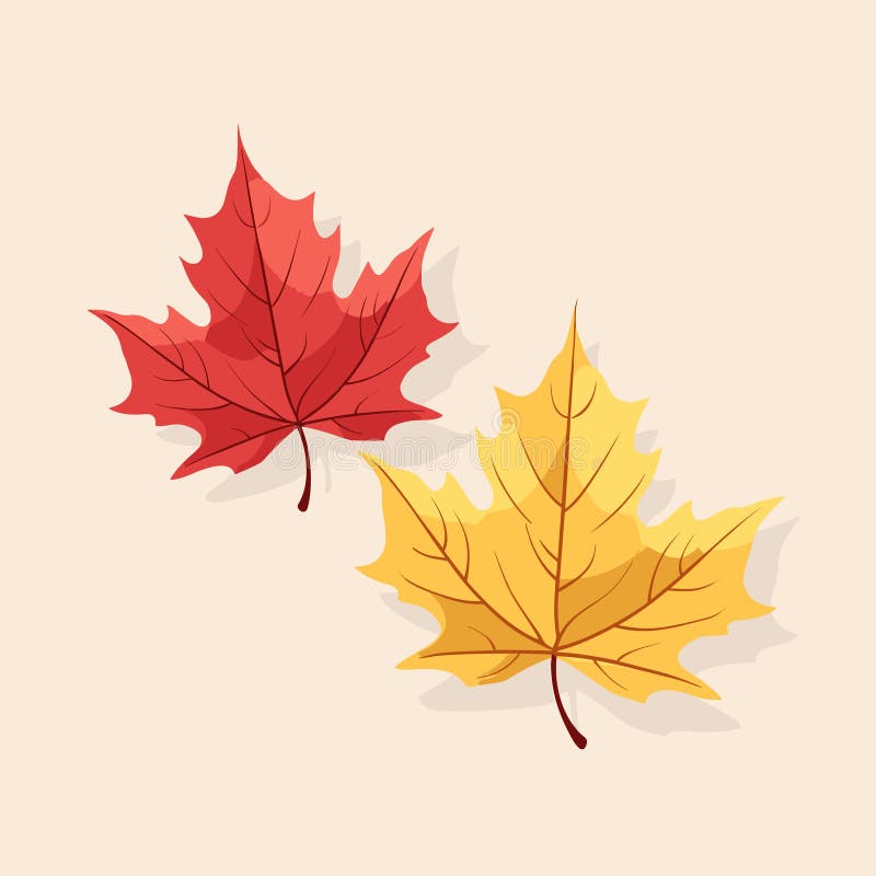 Autumn Maple Red and Yellow Leaves Isolated, Vector Illustration Stock ...