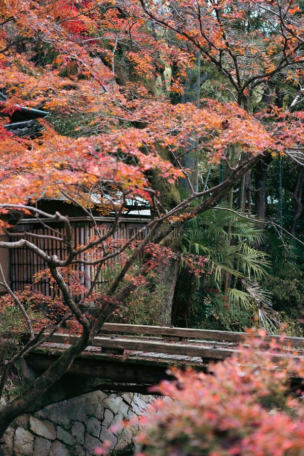 Philosopher's Path Autumn Stock Photos - Free & Royalty-Free Stock ...