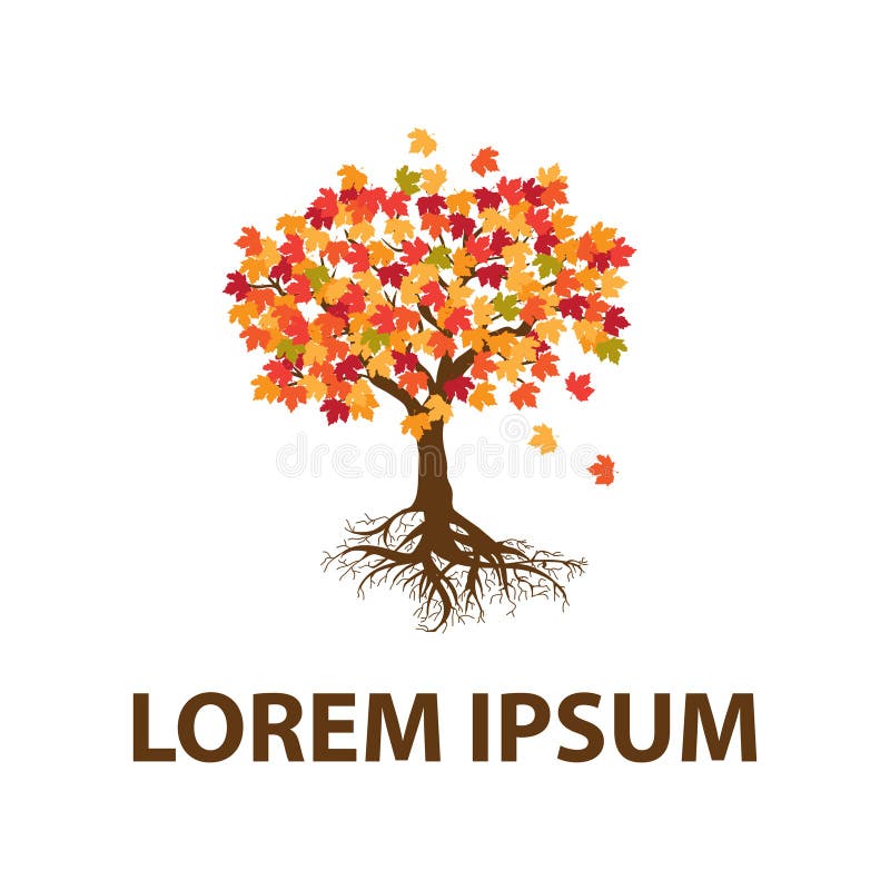 Autumn maple tree stock vector. Illustration of maple - 125089649