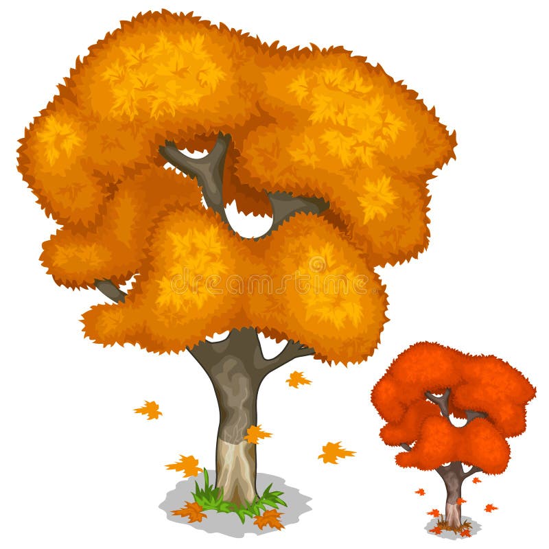 Maple Tree with Green Leaves Isolated on White Background. Vector ...